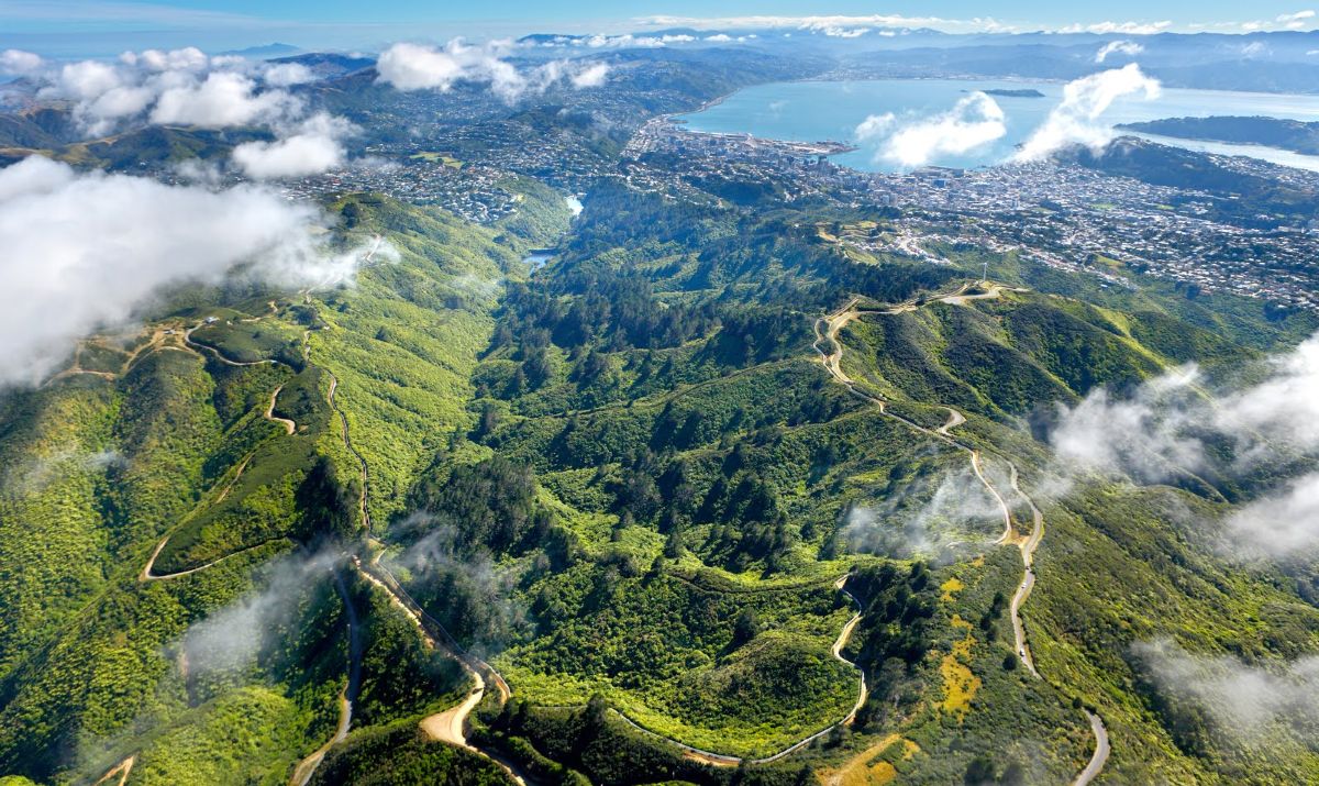 Zealandia : Birding NZ